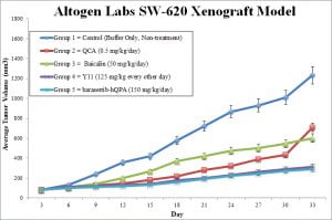 SW620 Xenograft Model - Altogen Labs
