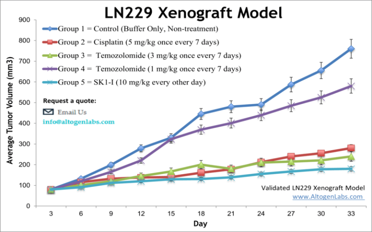 LN-229 Xenograft Model - Altogen Labs