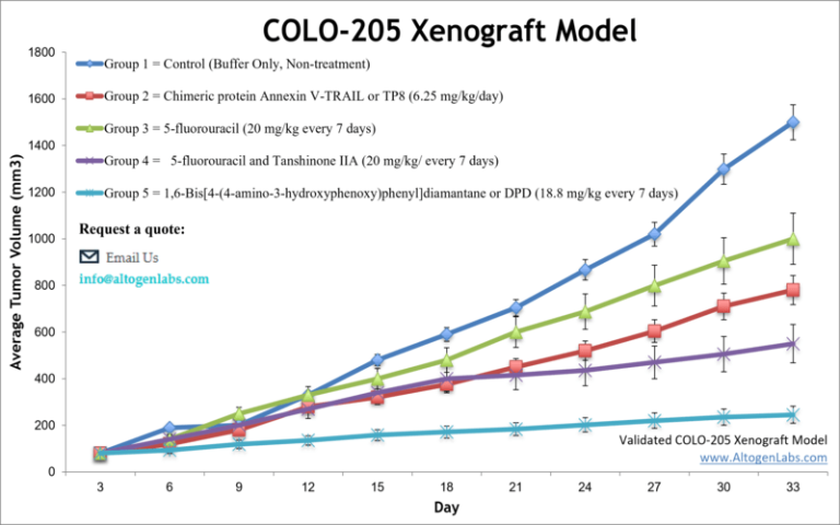 COLO-205 Xenograft Model - Altogen Labs