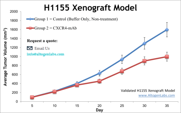 H1155 Xenograft Model - Altogen Labs