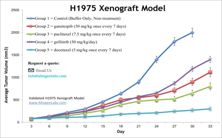 NCI-H1975 Xenograft Model - Altogen Labs