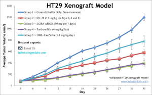 HT29 Xenograft Model - Altogen Labs