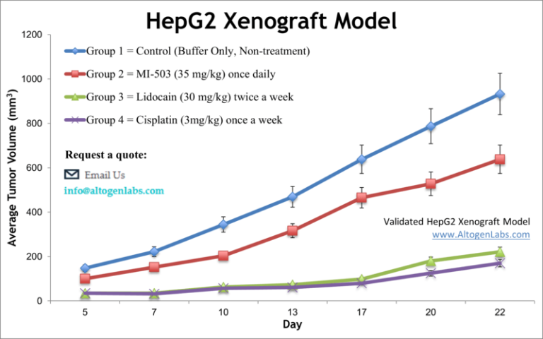 HepG2 Xenograft Model - Altogen Labs