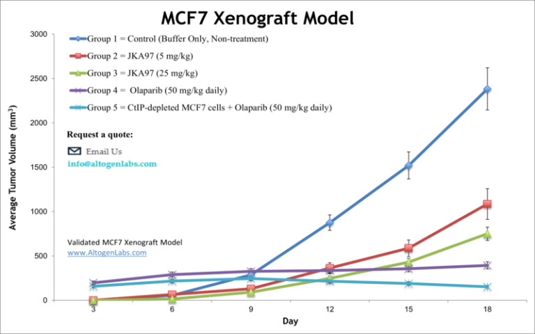 MCF7 Xenograft Model - Altogen Labs