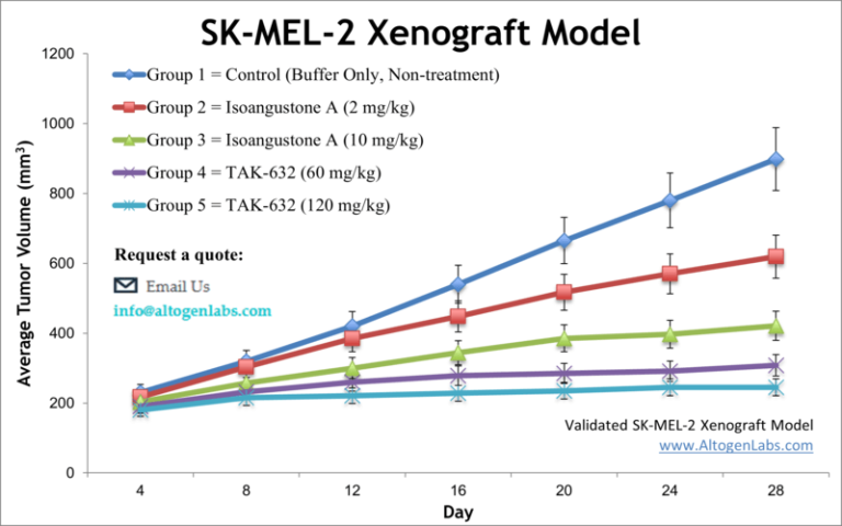 SK-MEL-2 Xenograft Model - Altogen Labs