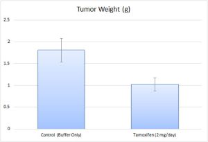 T-47D Xenograft Model - Altogen Labs