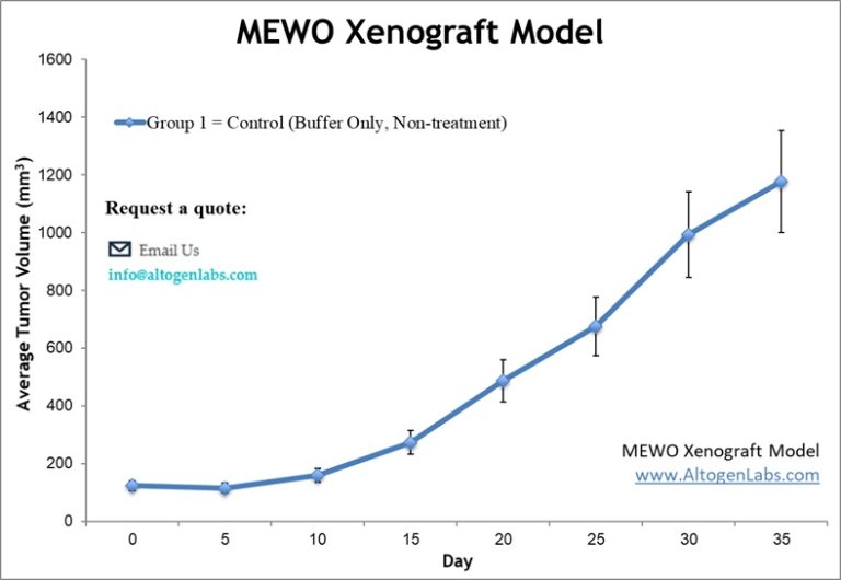 MeWo Xenograft Model - Altogen Labs