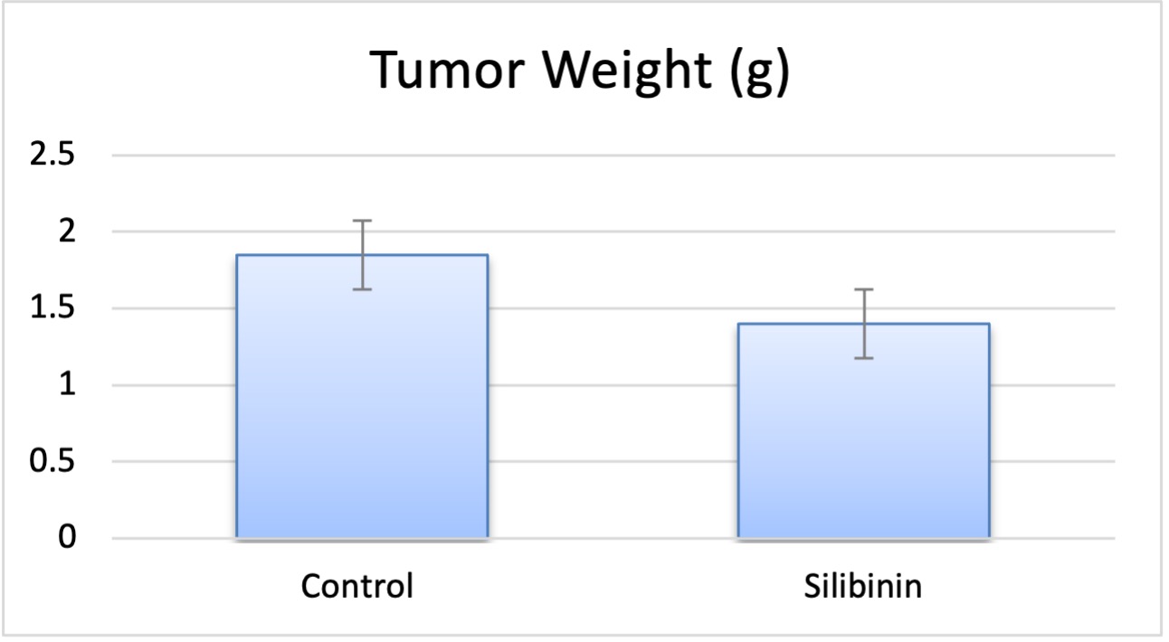 SW480 Xenograft Model - Altogen Labs